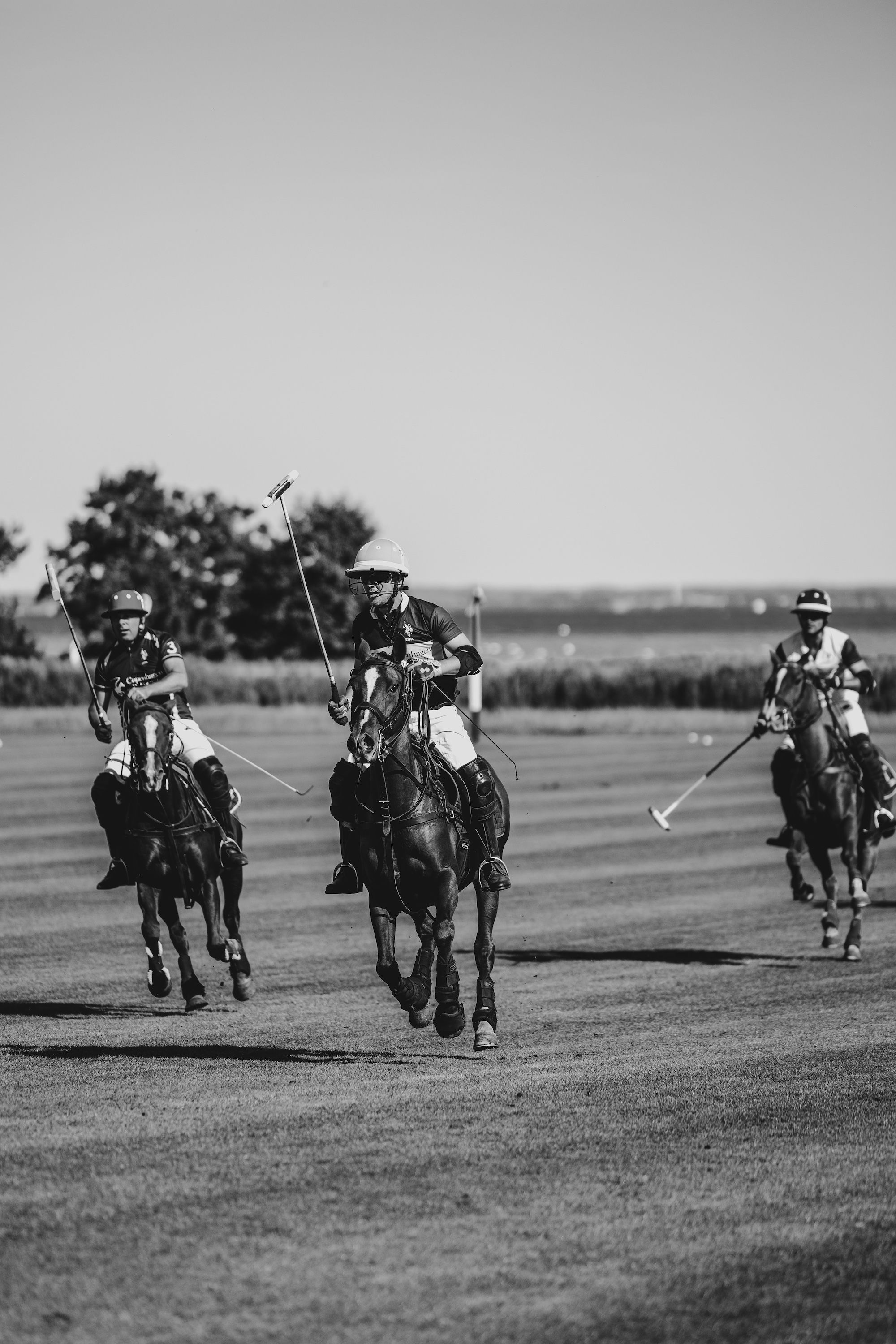 Polo Sport: The Game of the Kings - Anna Archinger | Horse Photography
