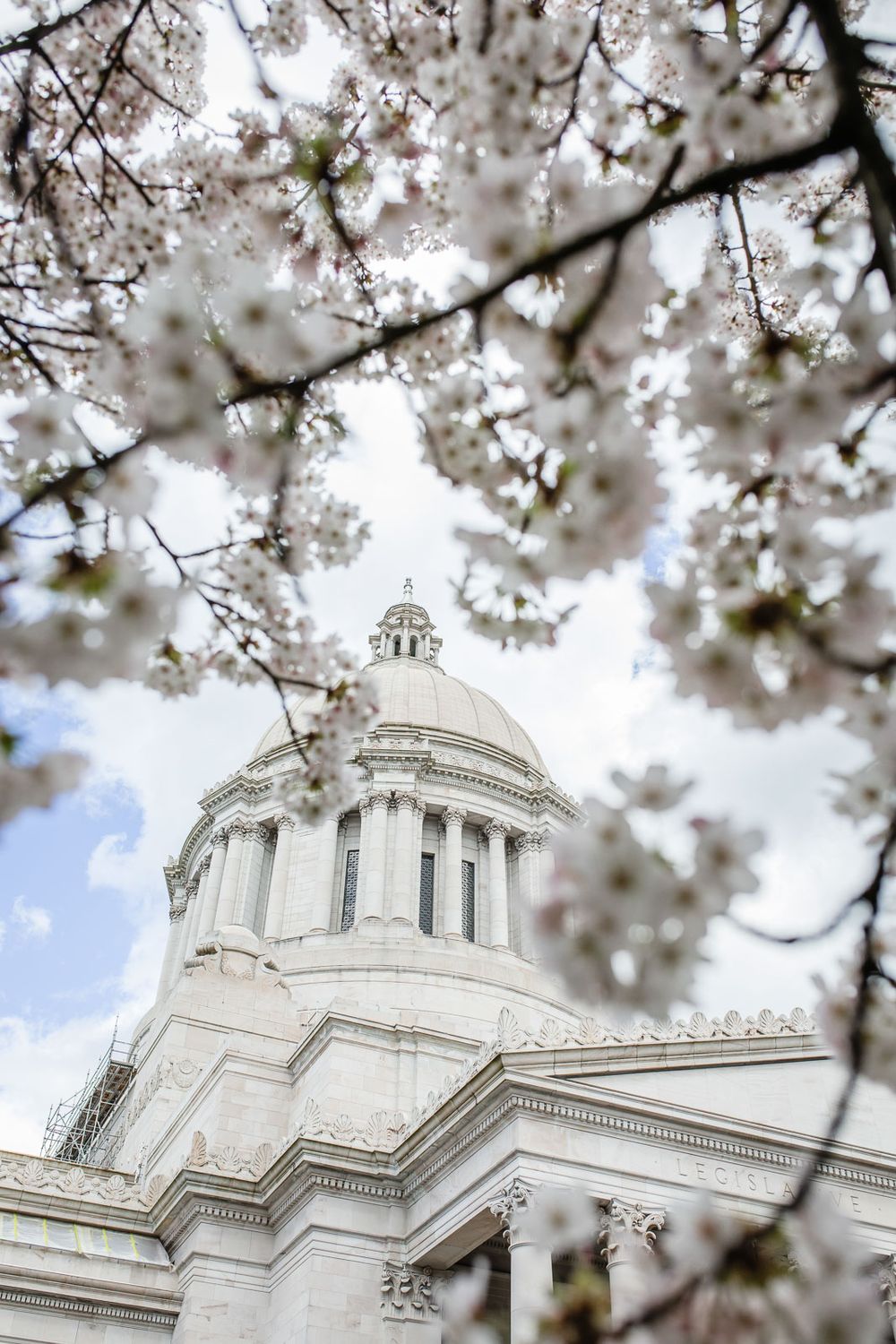 Awesome family walks for Seattle families this spring: part II - Ling Ling Zheng Photography