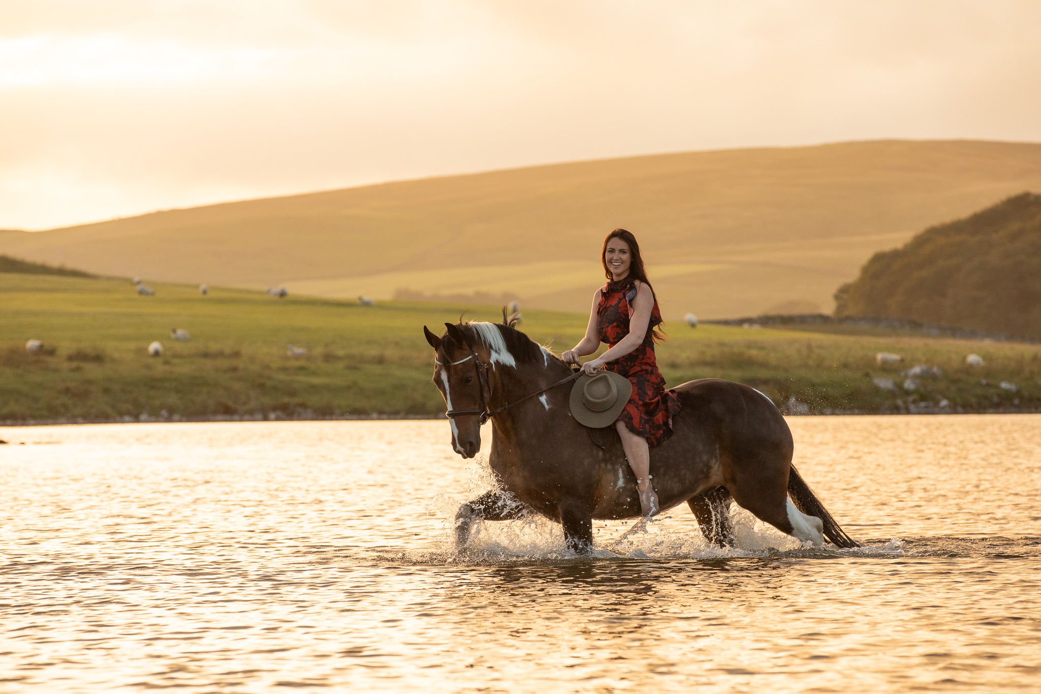 Bronwyn, Wilma, Mr Charles & Sparkles - Imogen Moon ABIPP - Equine ...