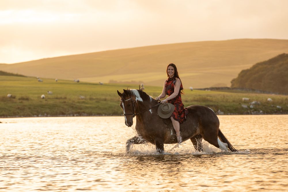 Bronwyn, Wilma, Mr Charles & Sparkles - Imogen Moon ABIPP - Equine ...