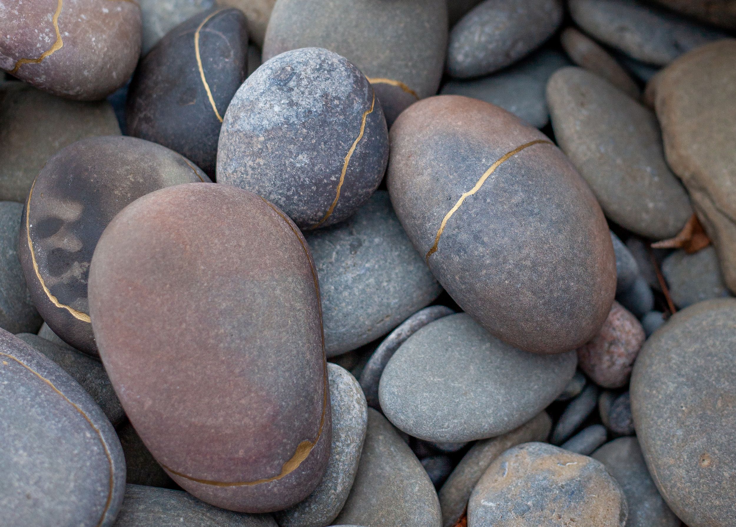 Catherine Chan - Visual Artist