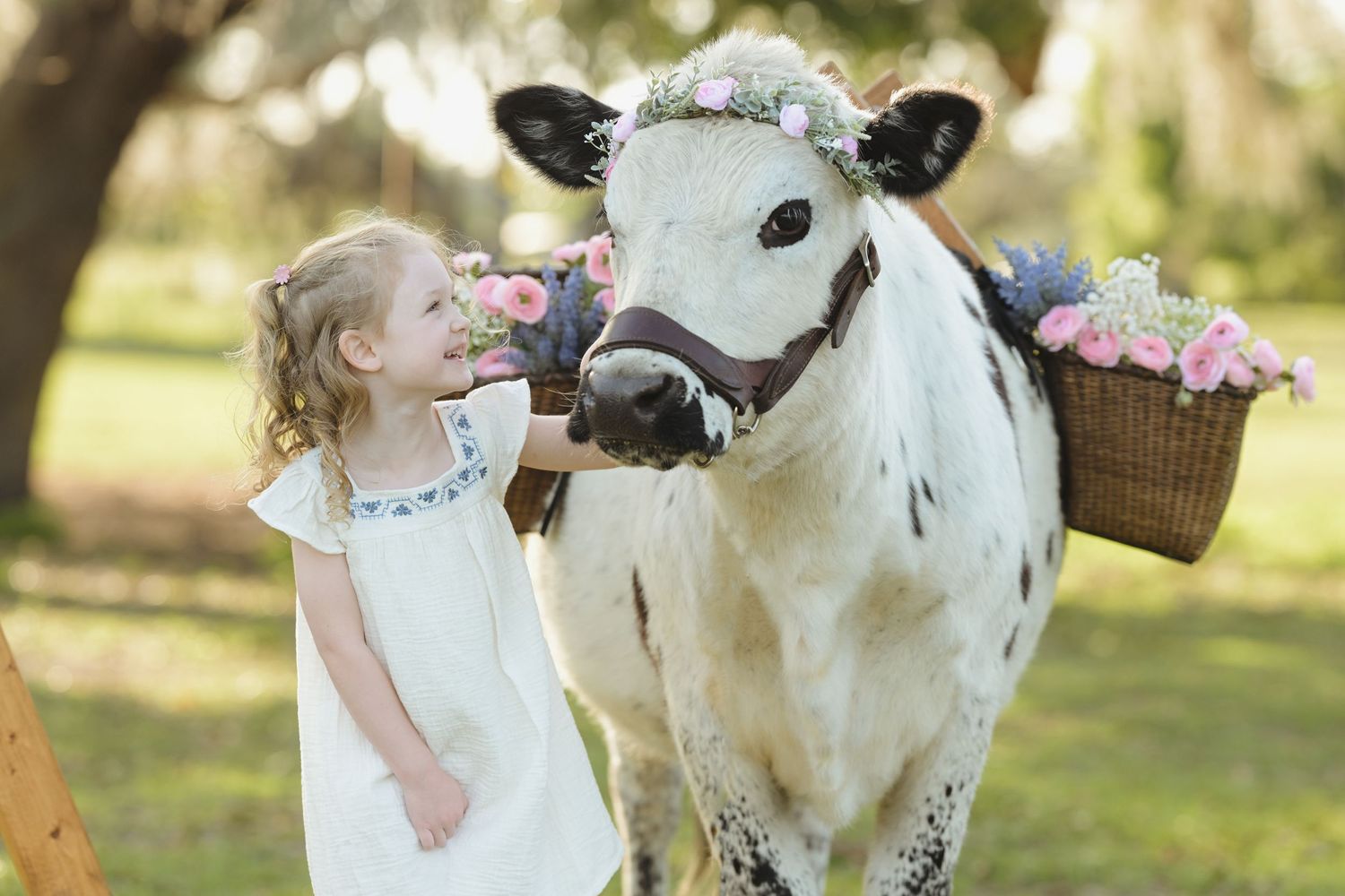 Contact - Magical Memories Photography