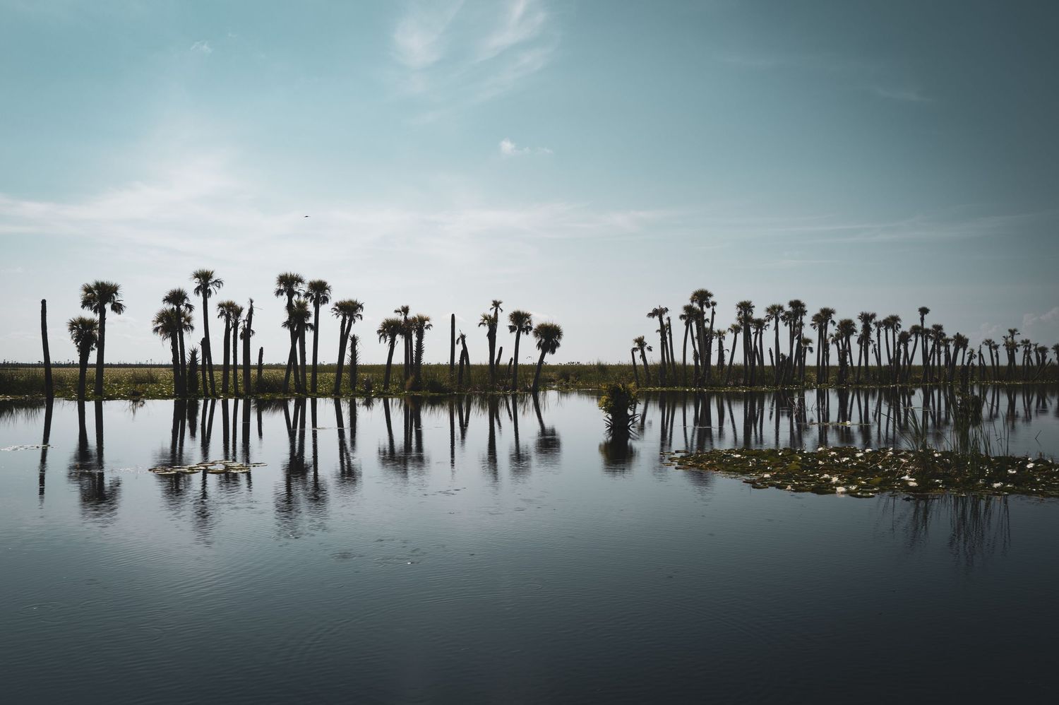 Contact - Jon Faulkner Photography