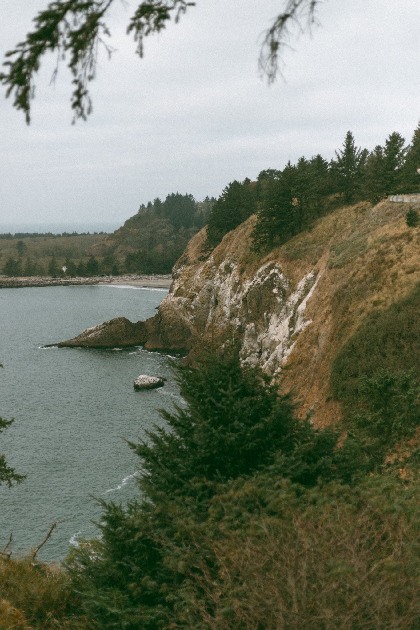 Couples Copy - Bryce Adams Photography