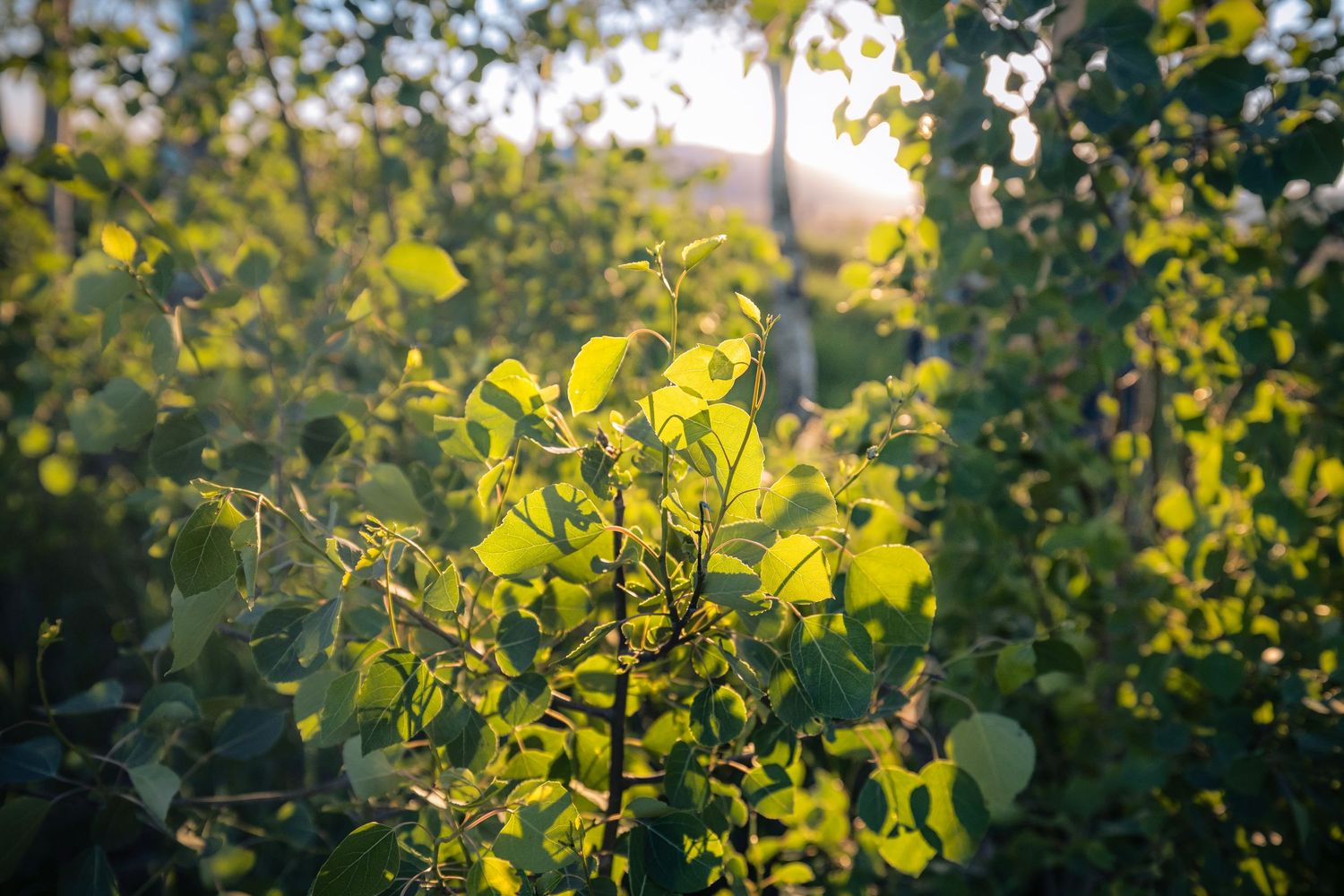 Contact - Nathan Hay Photography