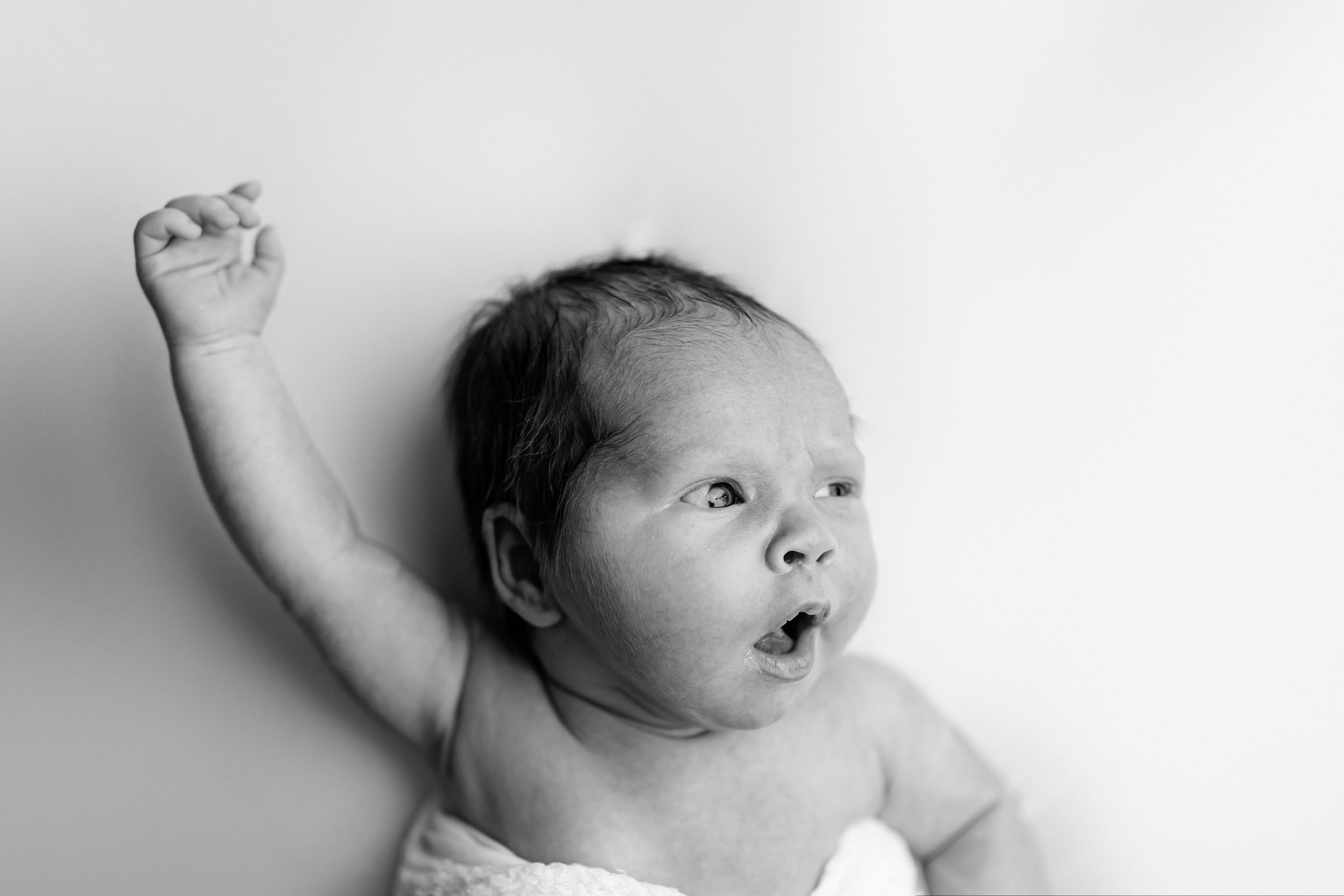 Baby Mugshots - Applegum Photography