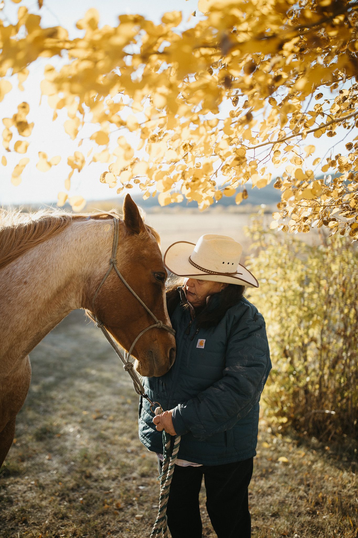 SARAH DEMARCO PHOTOGRAPHY