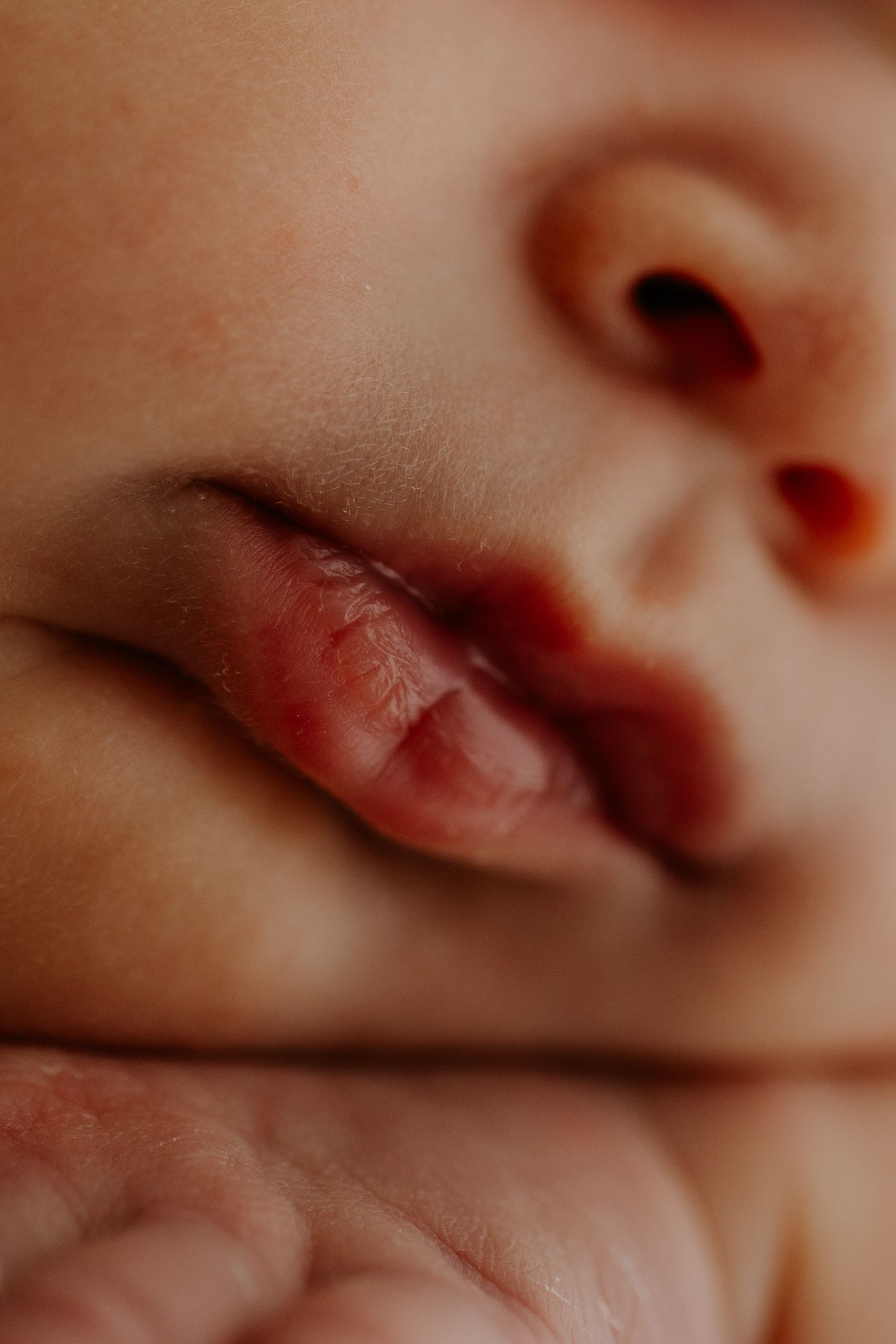 Relaxed & Natural Studio Newborn Photography NORWEST - Sarah Finnegan ...