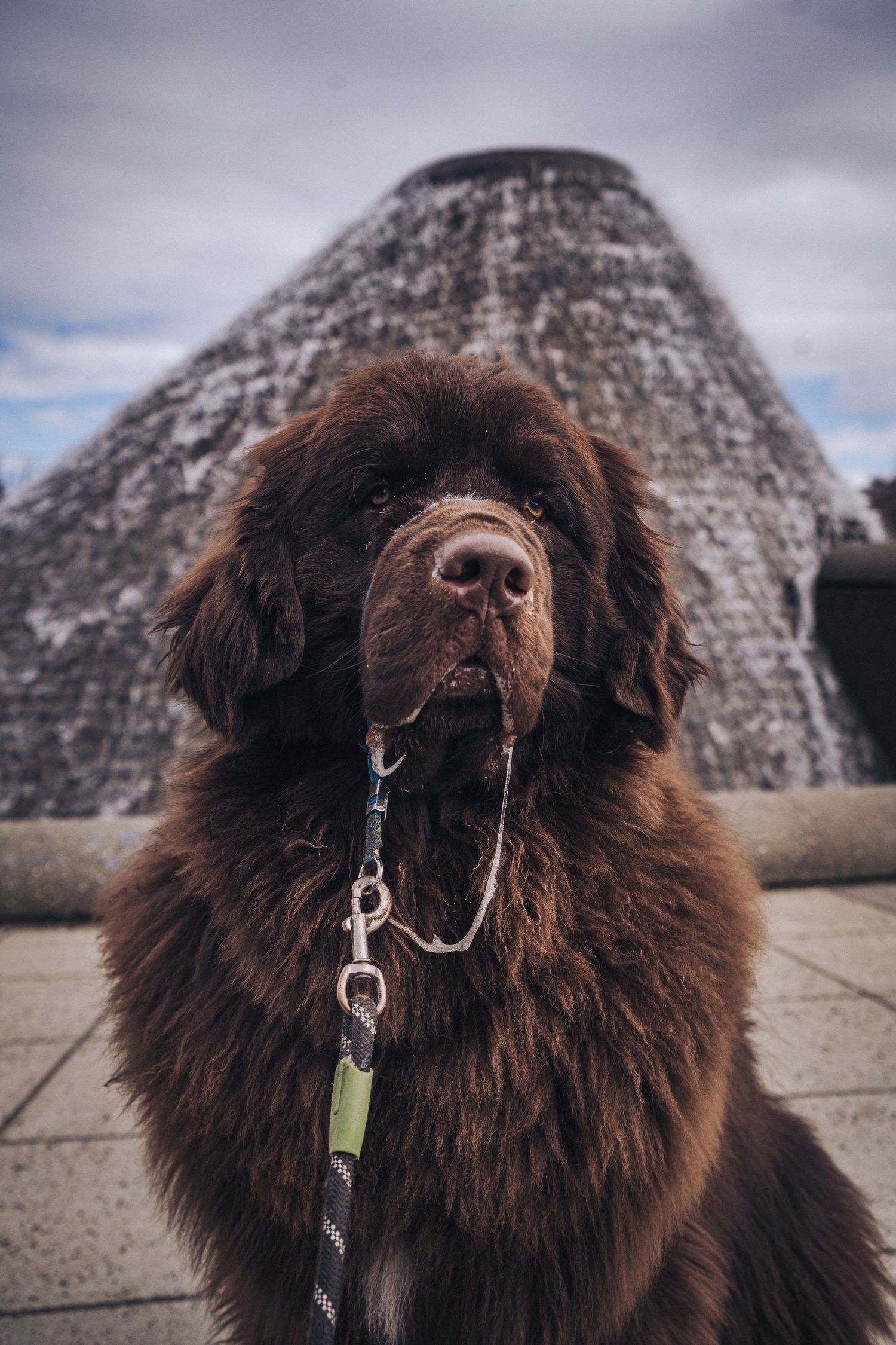 Portfolio - Eye of Ryley Photography