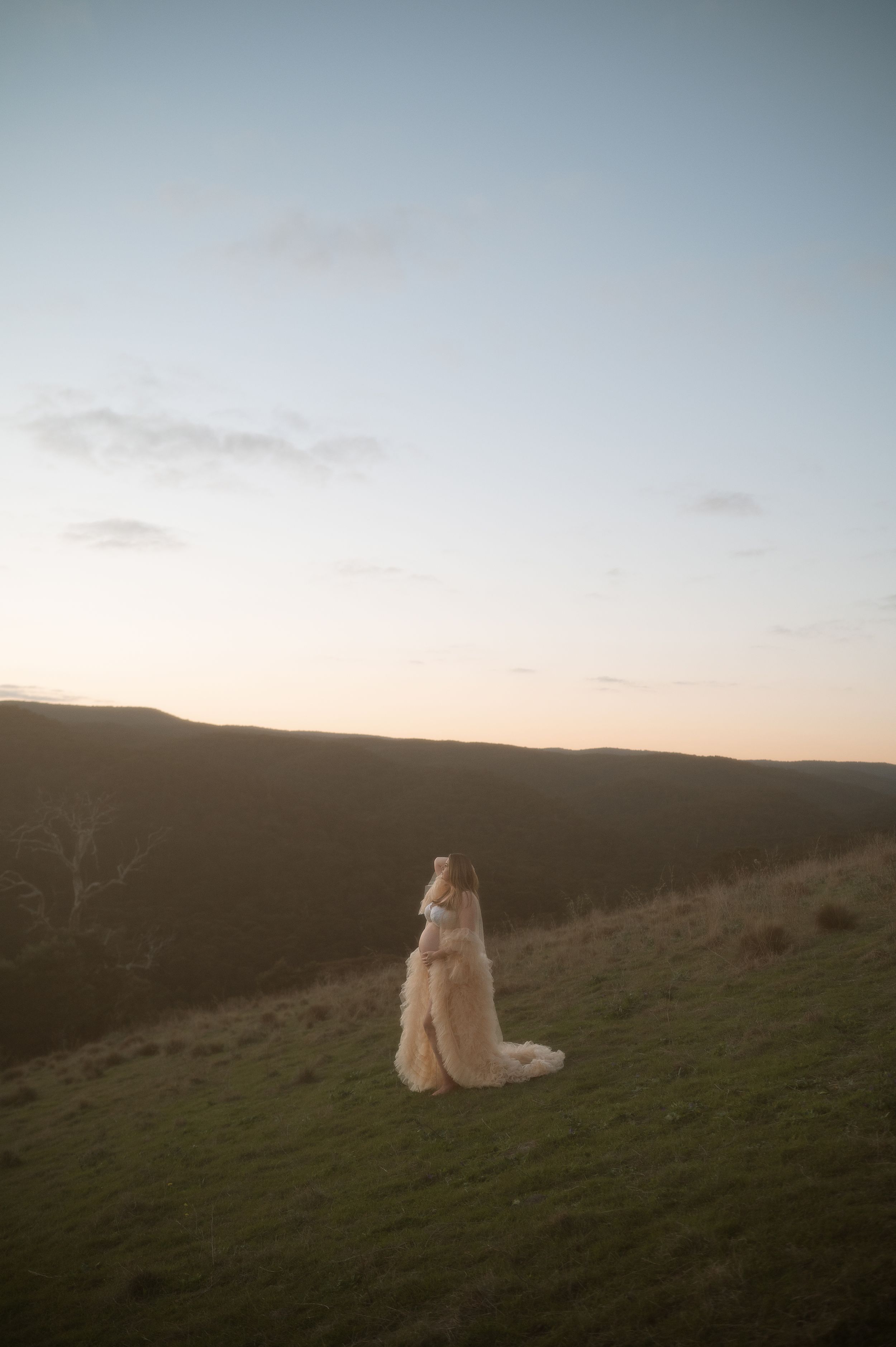 Courtney Cantwell Photography