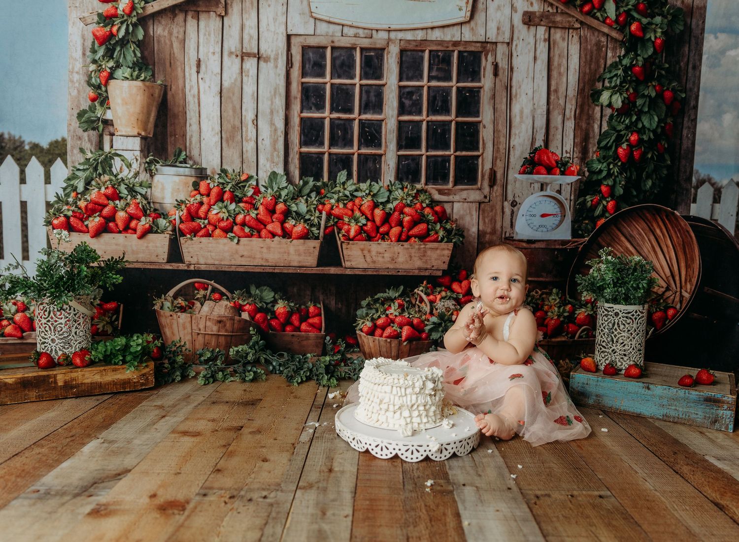 Contact - Shawna Faith Photography