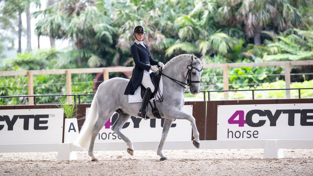 Event Galleries - Simon Scully Photography