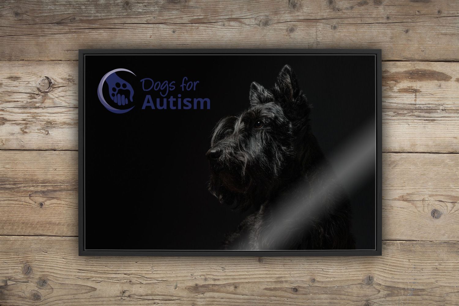 Limited Edition Sessions Dogs for Autism - Dogs in Focus Phototography