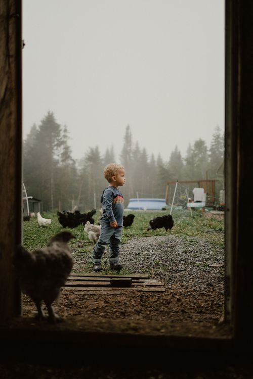 Storytelling Photography vs. Portrait Photography: Capturing Authentic ...