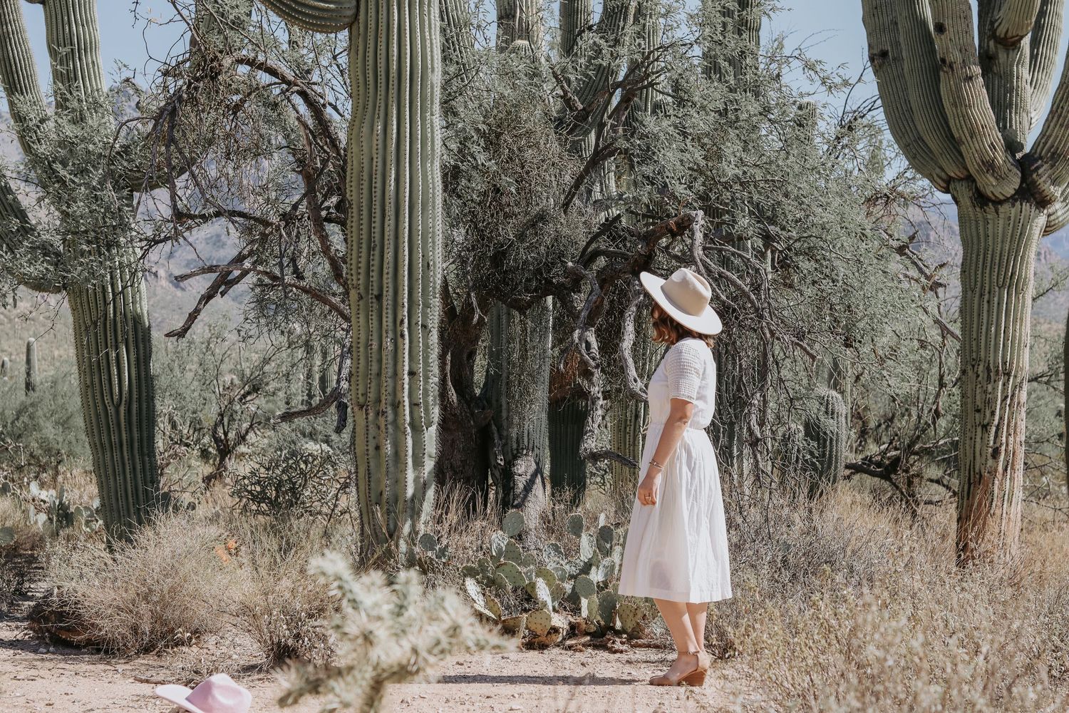 Investment - Sophia Frashure Photography