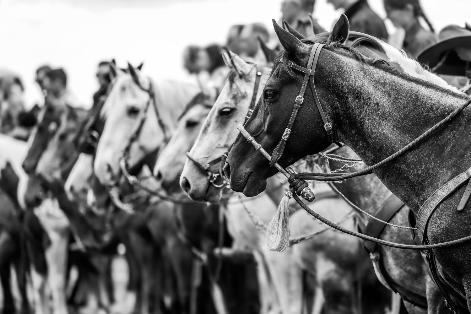 Investment - Britt Ross Photography & Design