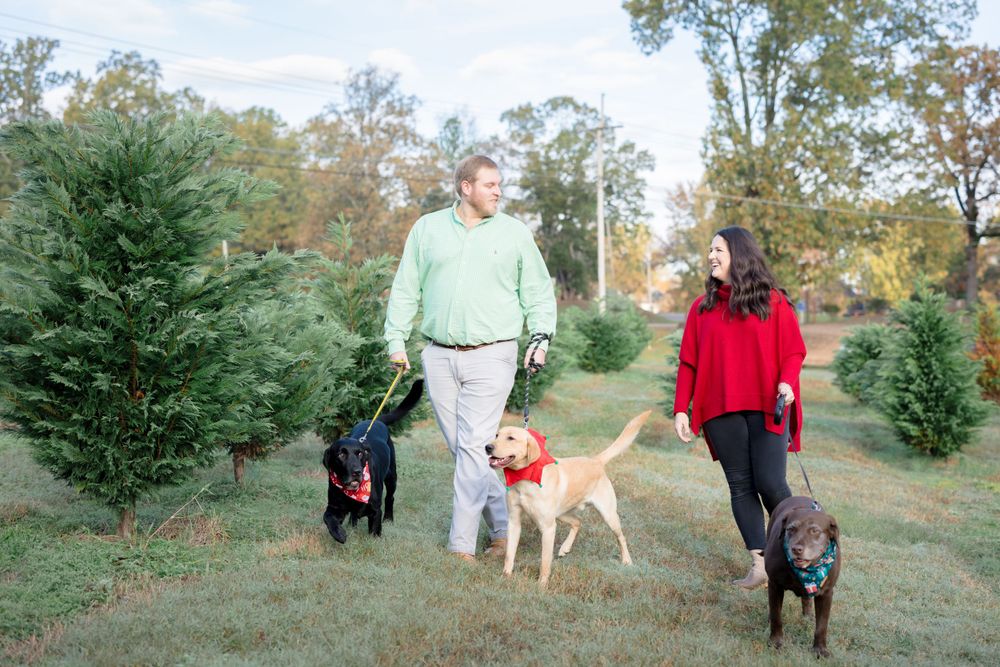 Christmas Tree Farm Mini Sessions at Merry Christmas Tree Farm in ...