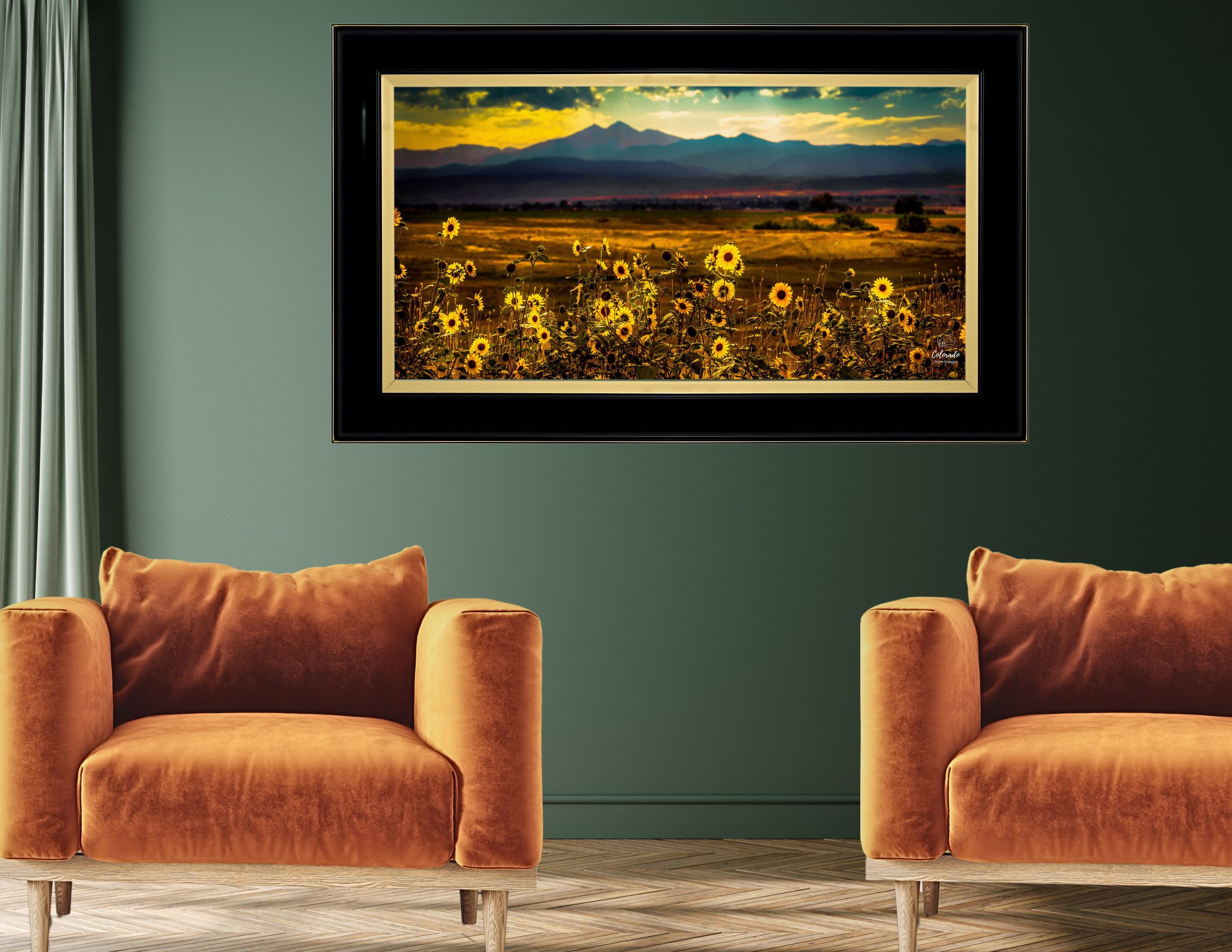 Colorado Born Images