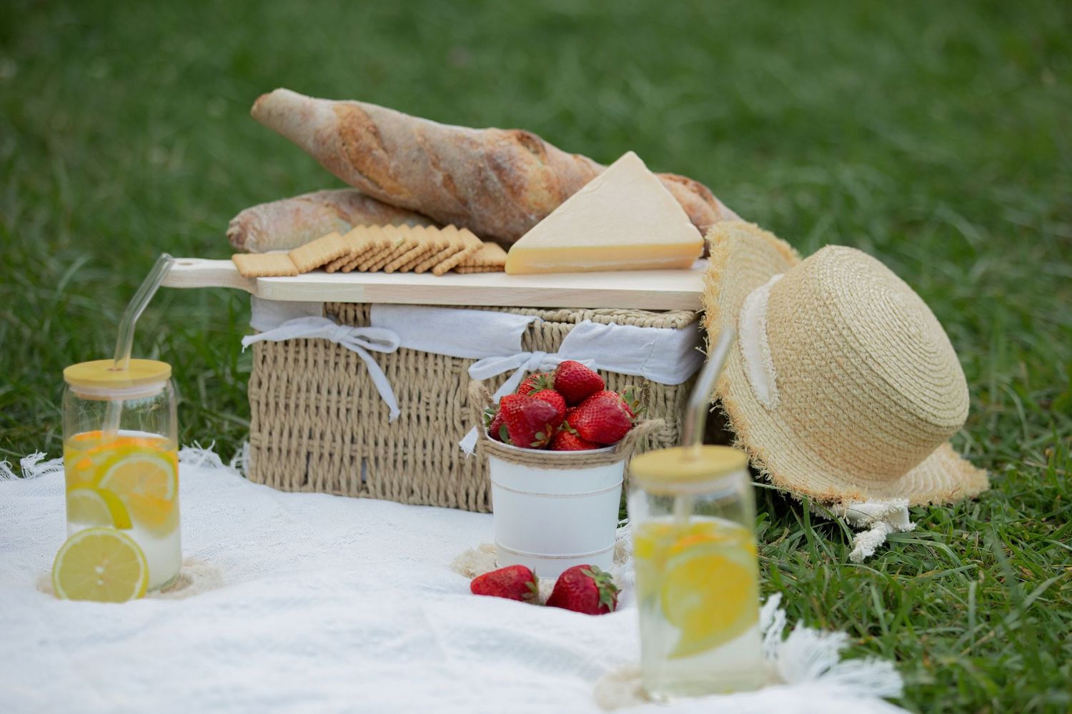 PICNIC Package - Firefly by Chaya | Children and Family Photographer in ...
