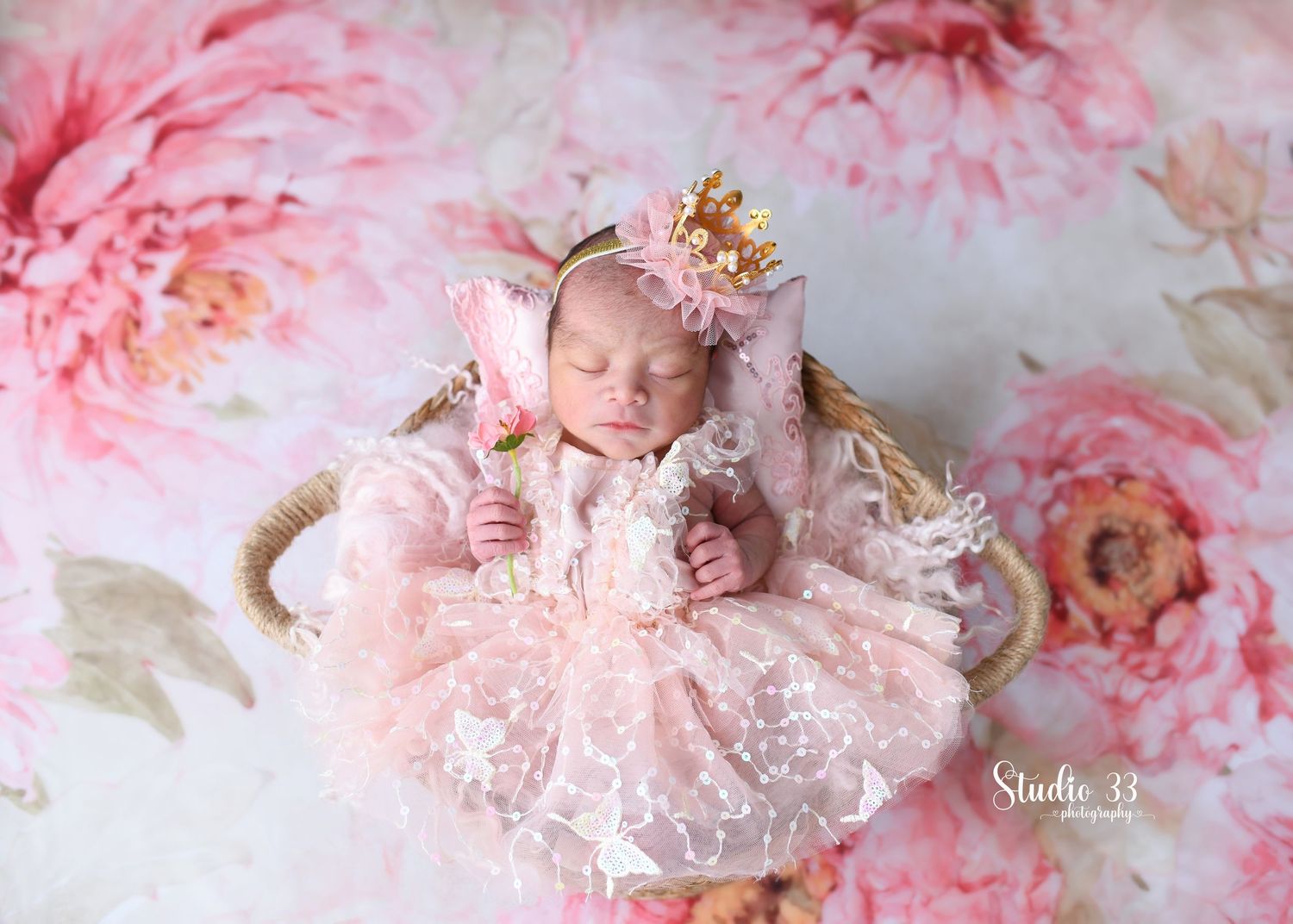 Portfolio - Studio 33