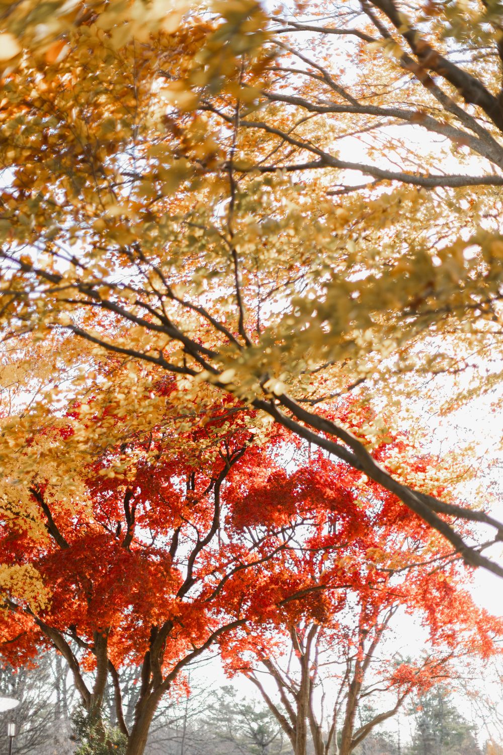 Jamie & Jake - JAYLIM STUDIO