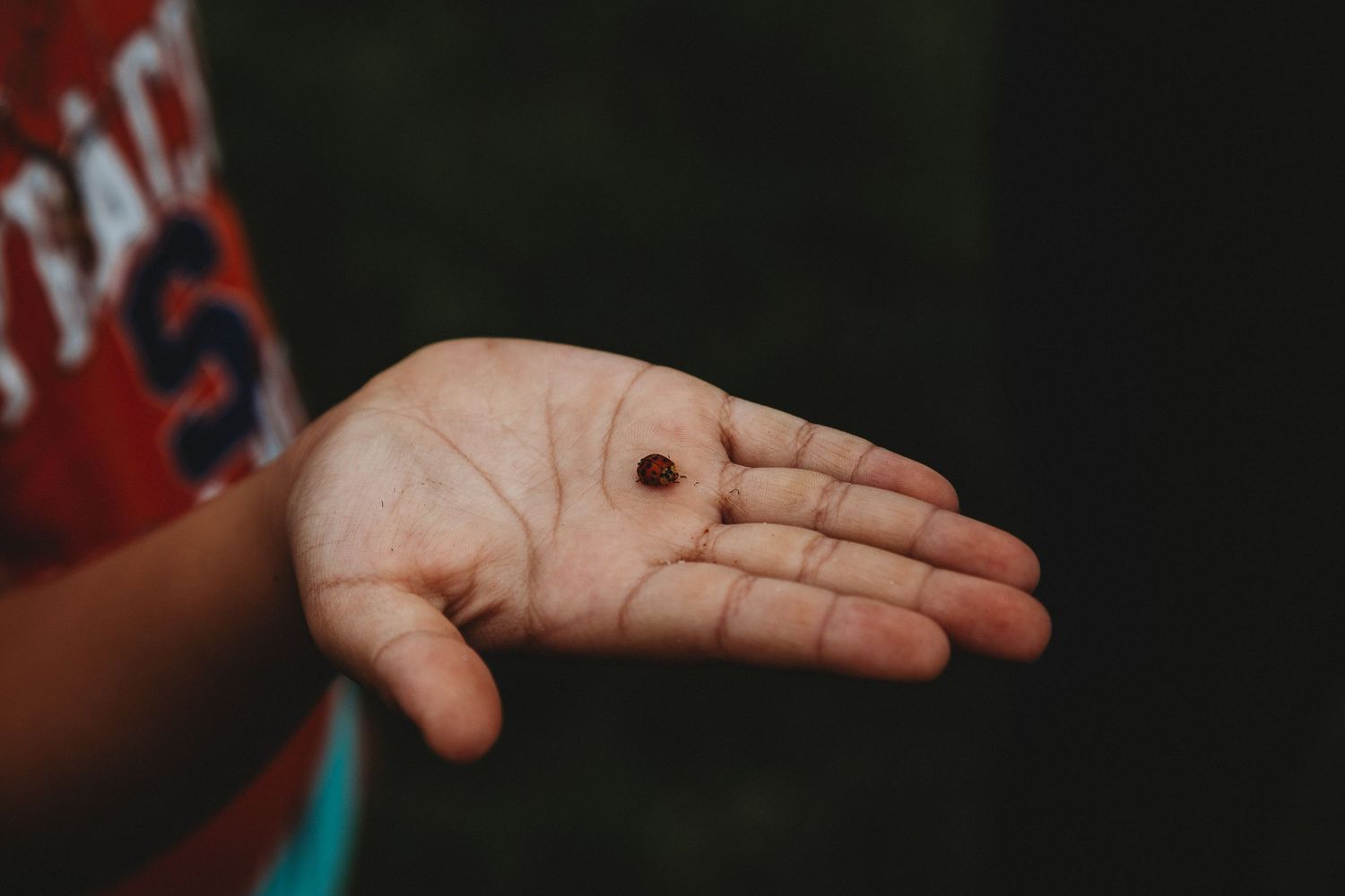 Contact - Jennifer Reed Photography