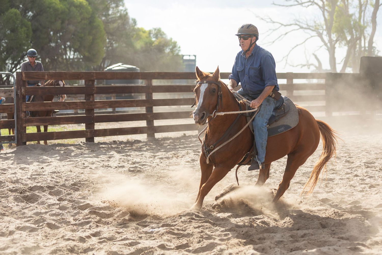 Equine - Matilda Jones Photography