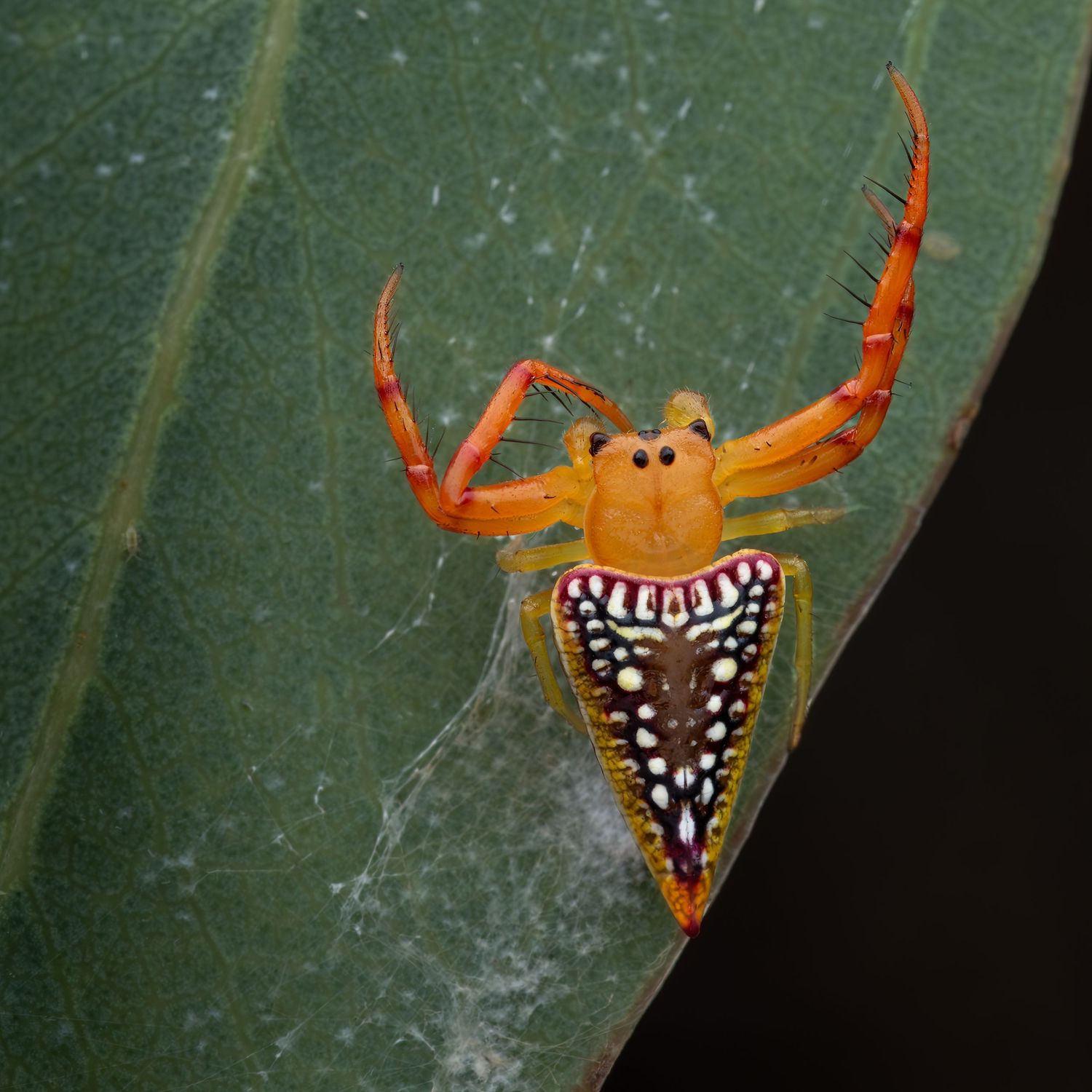 Gallery B - Jarrod Woolley Photography