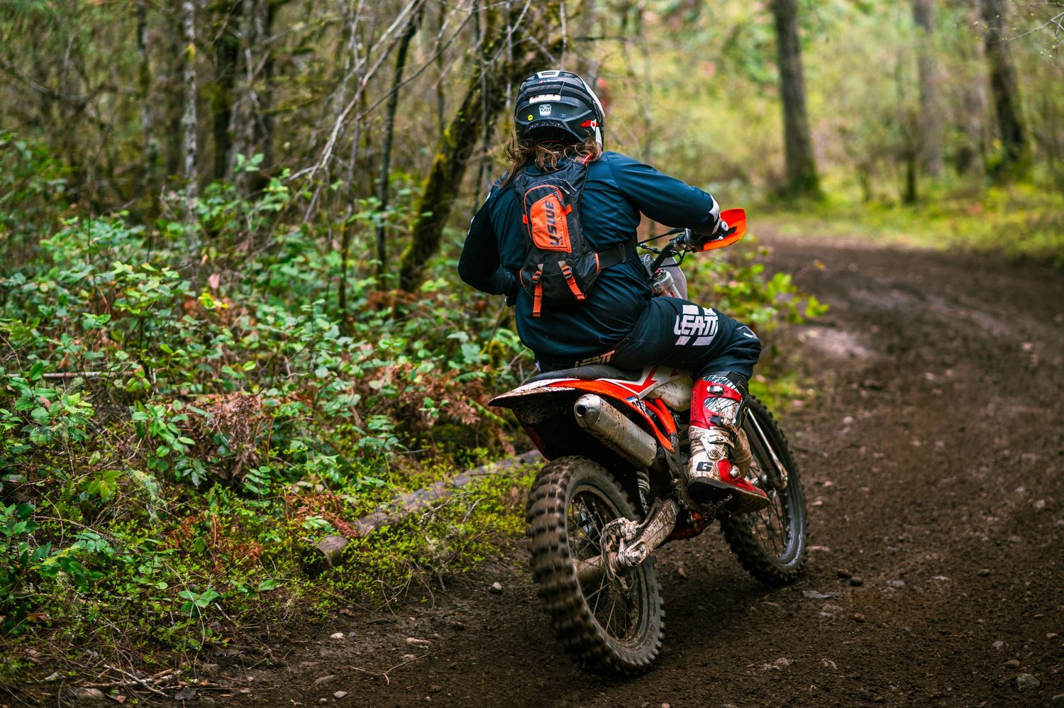Whiskey Creek | Roots of Doom | 2024 - Damon Stangherlin Photography
