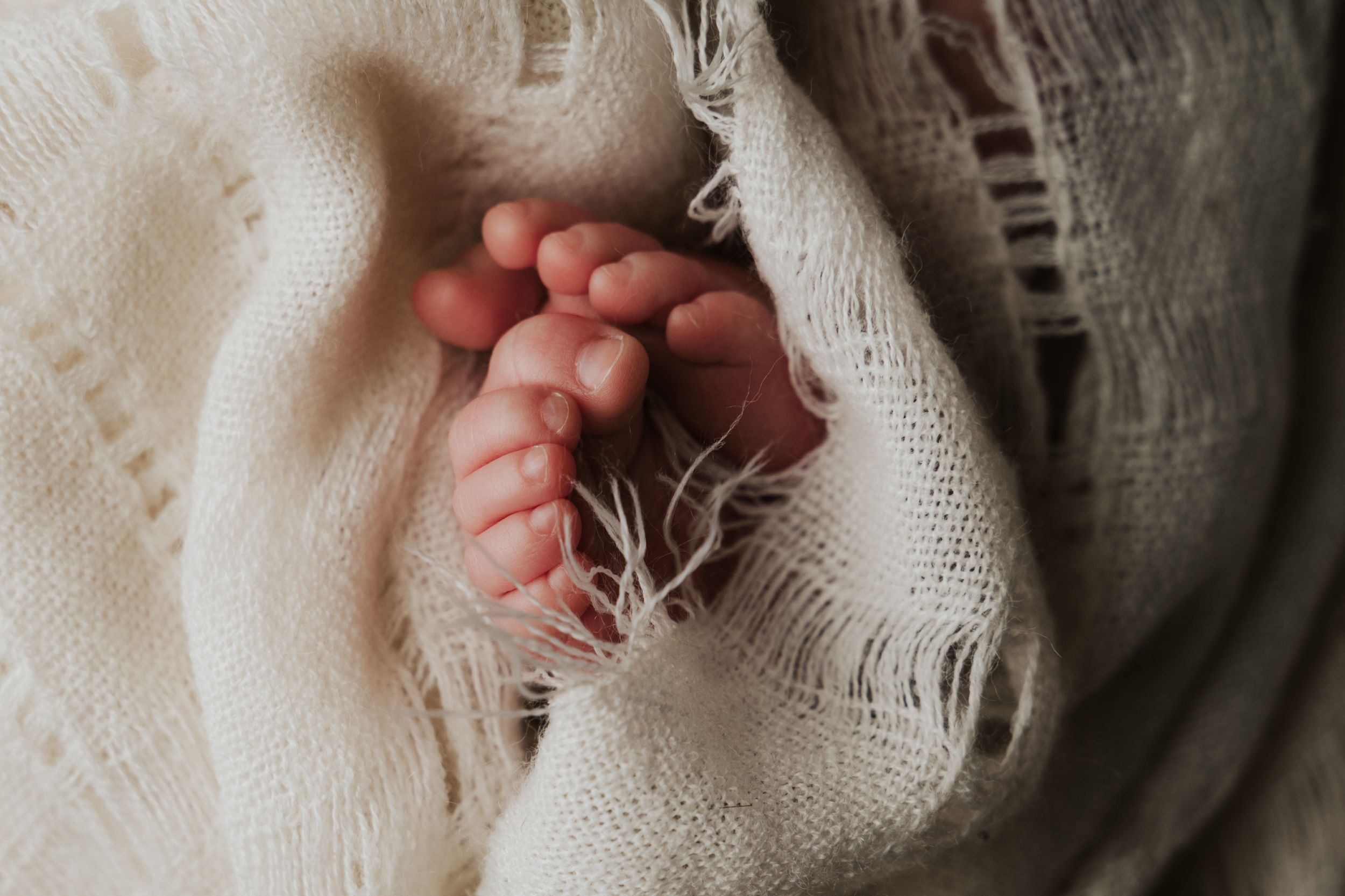 Jennifer Ray Photography