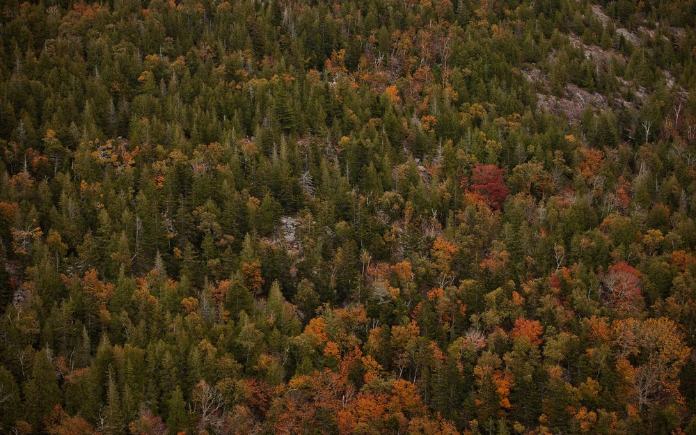 Landscapes - Eric Photos LI