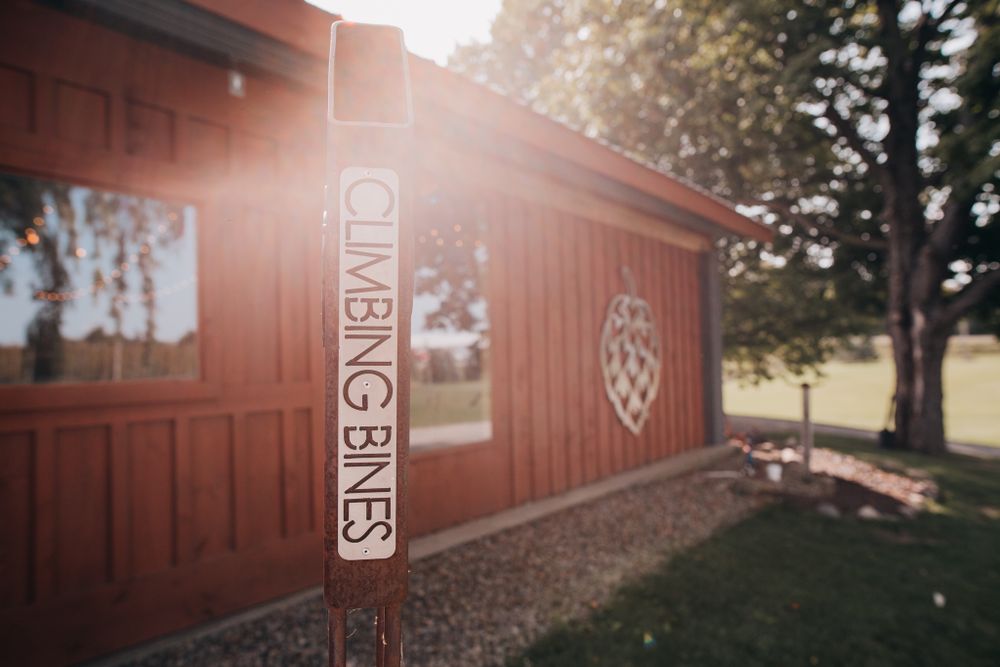 Climbing Bines Spotlight - Loryn Payne Photography