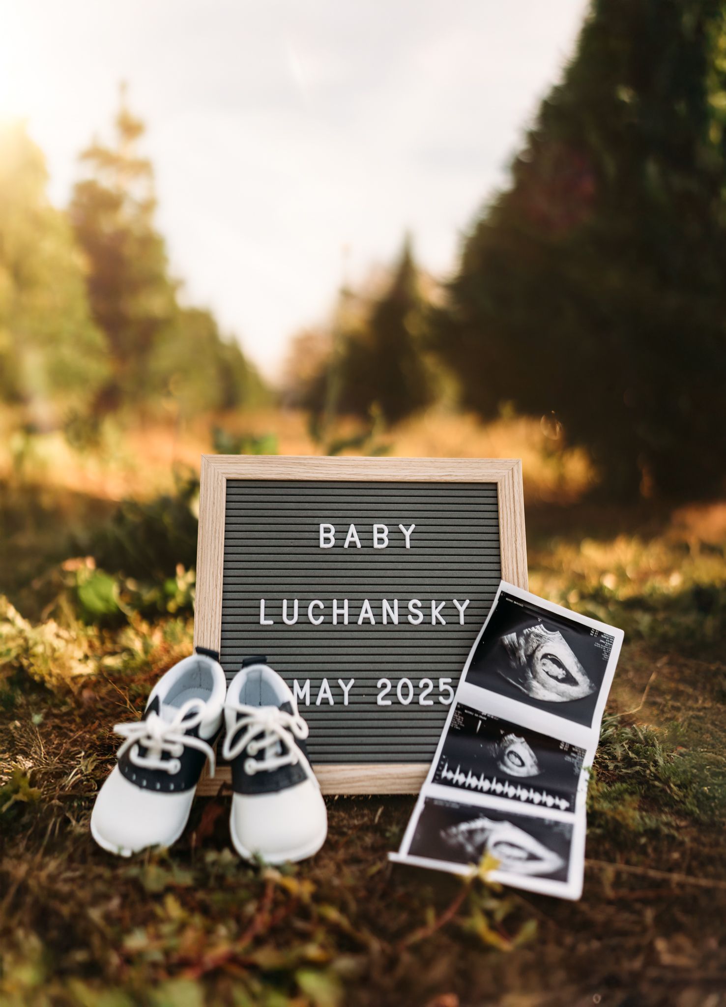 Haley Ritchie Photography