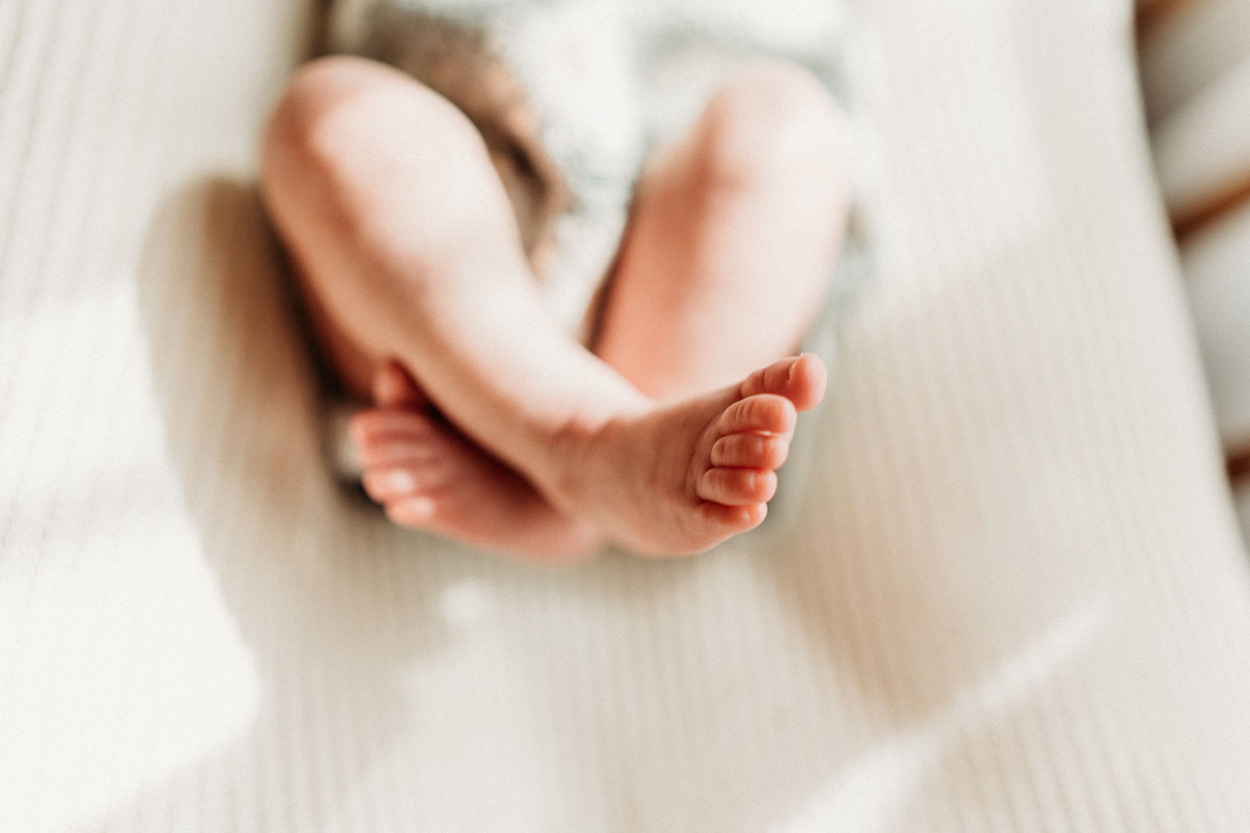 Haley Ritchie Photography