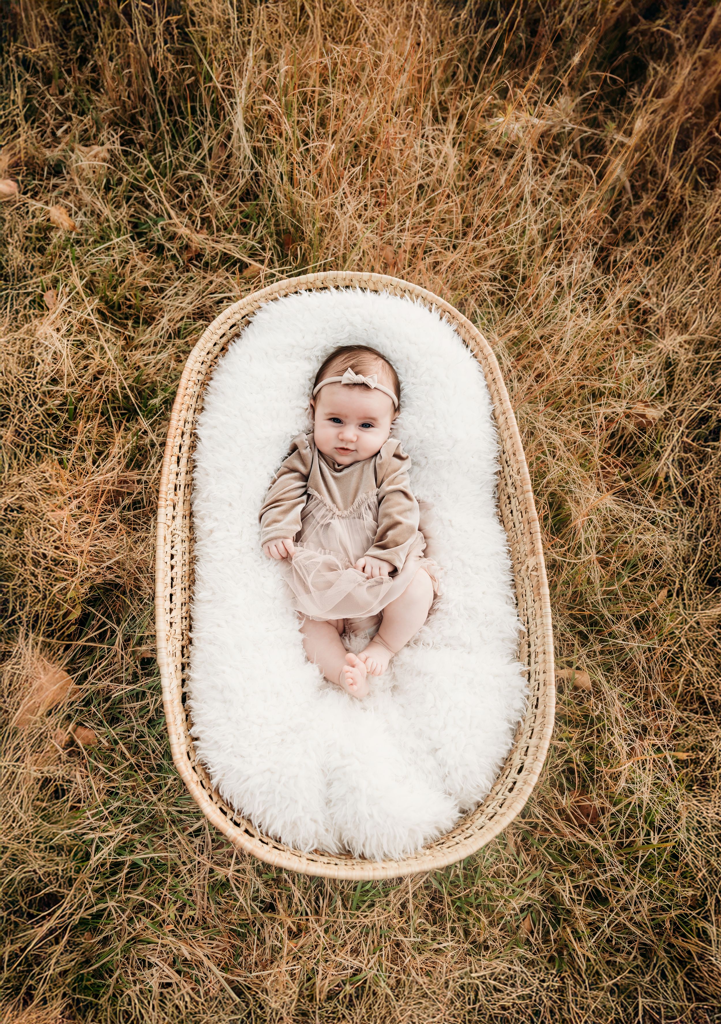 Haley Ritchie Photography