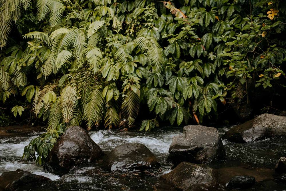 Waterfall Romance: Enchanting Bali Wedding at Nungnung Waterfall - my ...