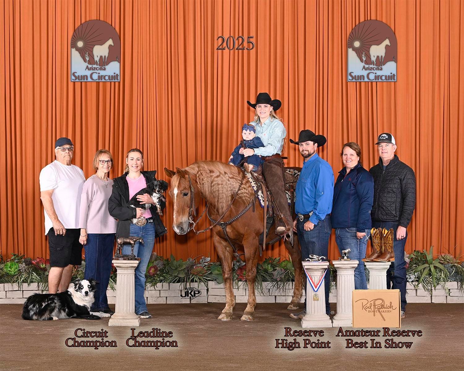 About - Briggs Performance Horses