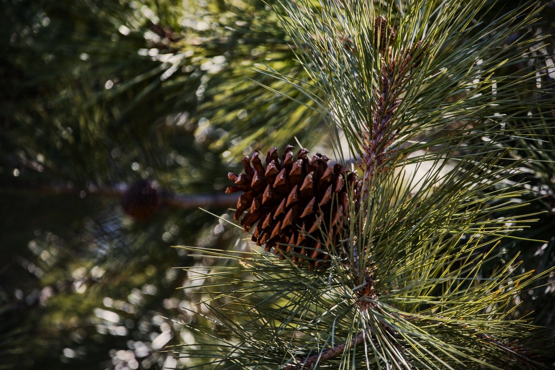 Audrey & Co. Photography