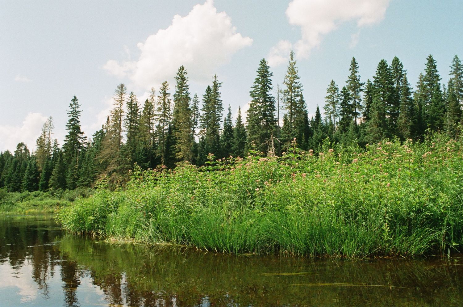 Northern Waters - Christopher Peirce