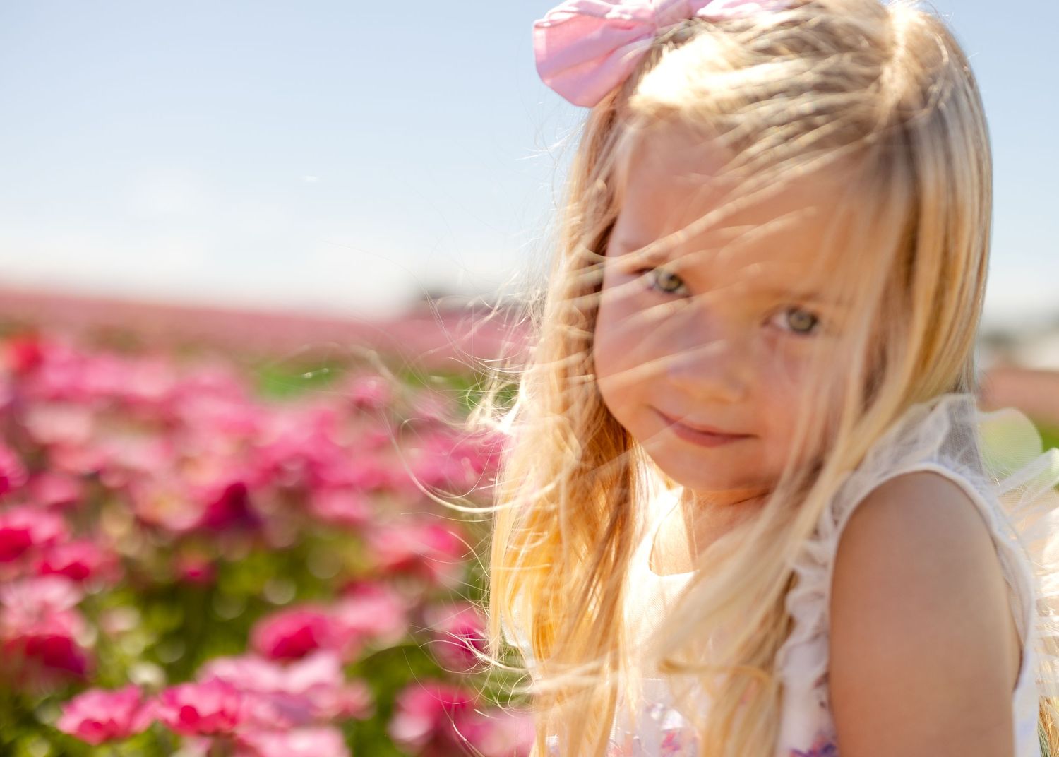 Contact - Lacy Cramer Photography