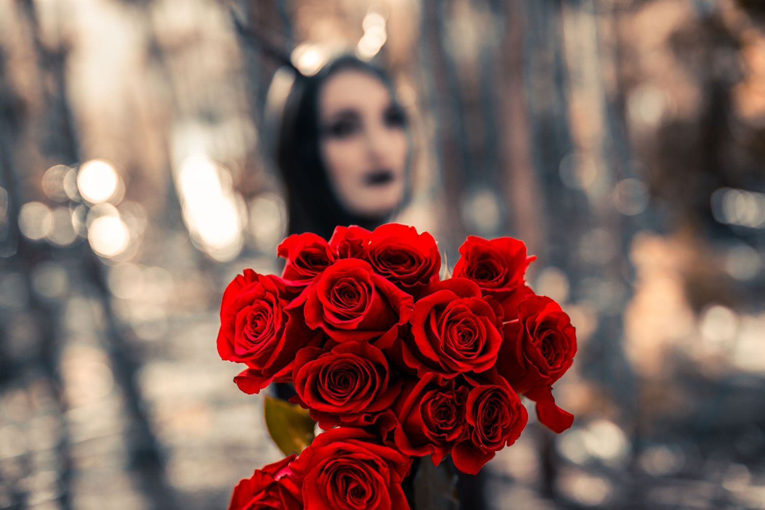 About Ash Moon - Ashly Moon Photo