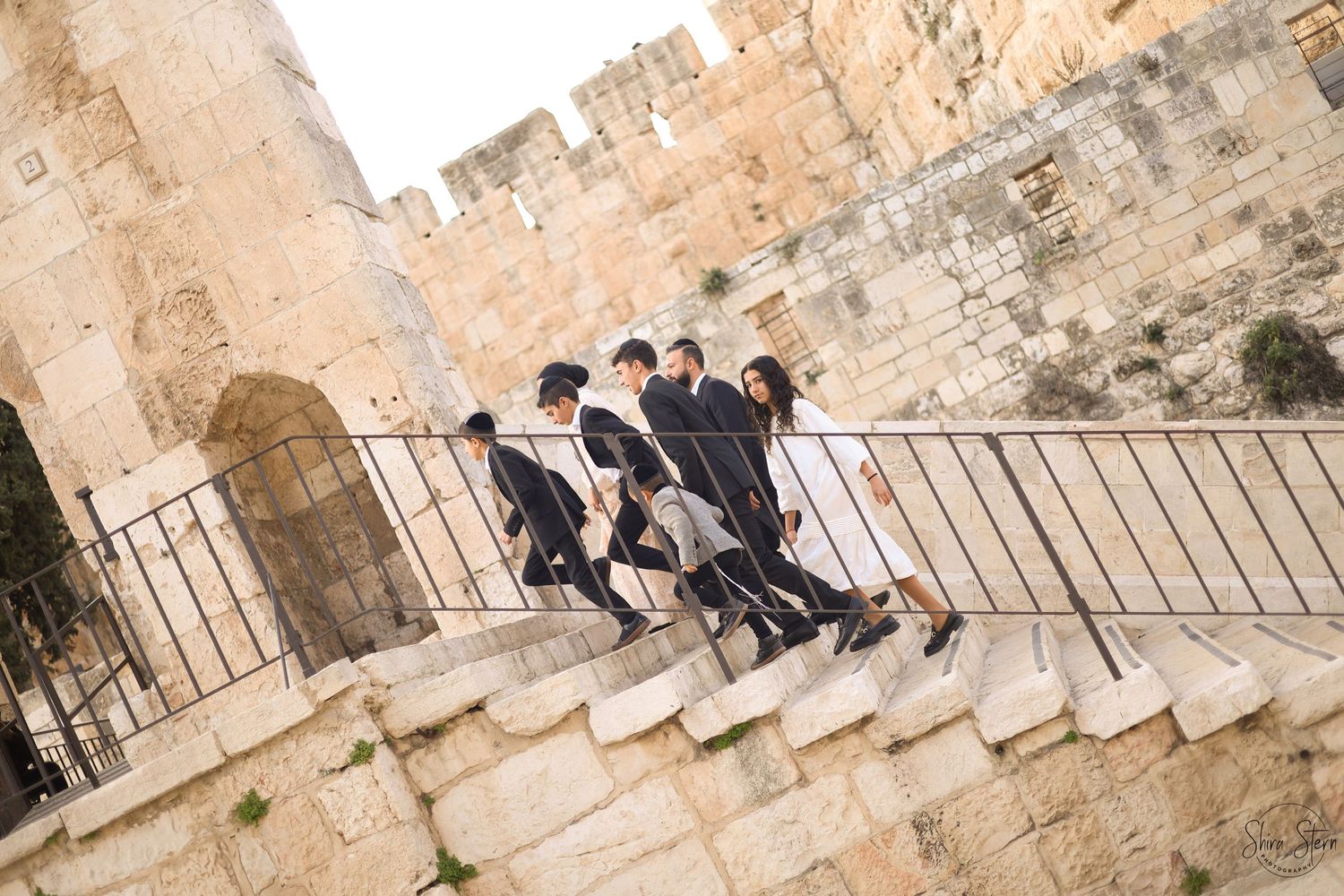 Gallery - Shira Stern Photography
