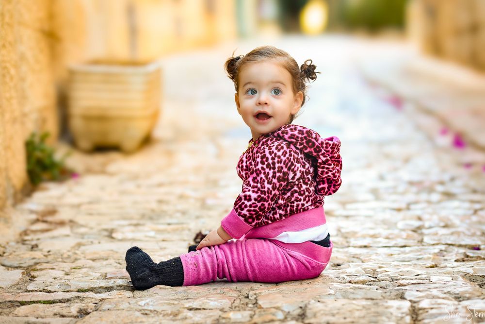 Gallery - Shira Stern Photography