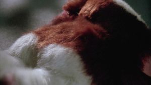 Gizmo Multiplying Puppet - The Gremlins Museum