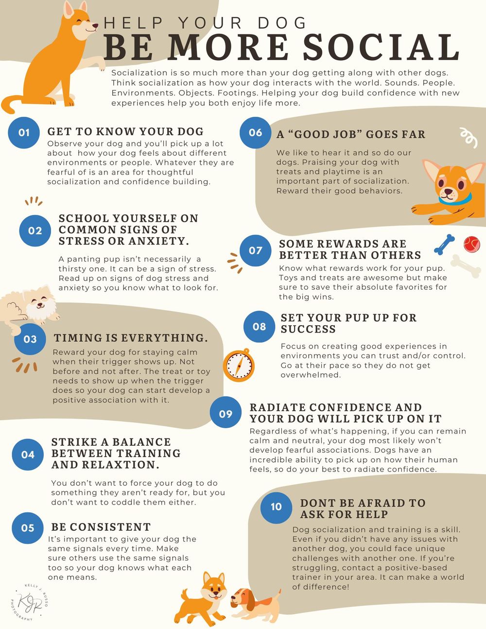 10 Tips To Help Your Dog Be More Social - Kelly J. Russo Photography ...