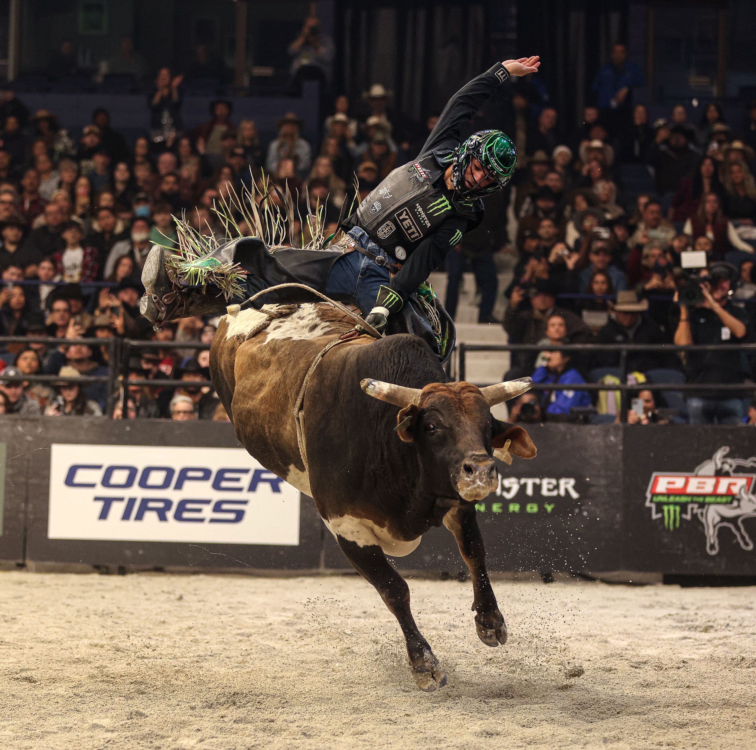 Wild Rodeo Photography