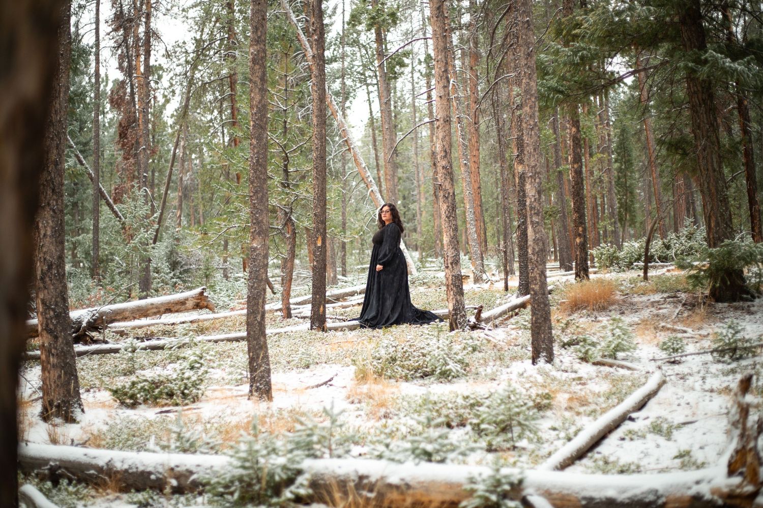 Portfolio - Taylor Hendry Photography