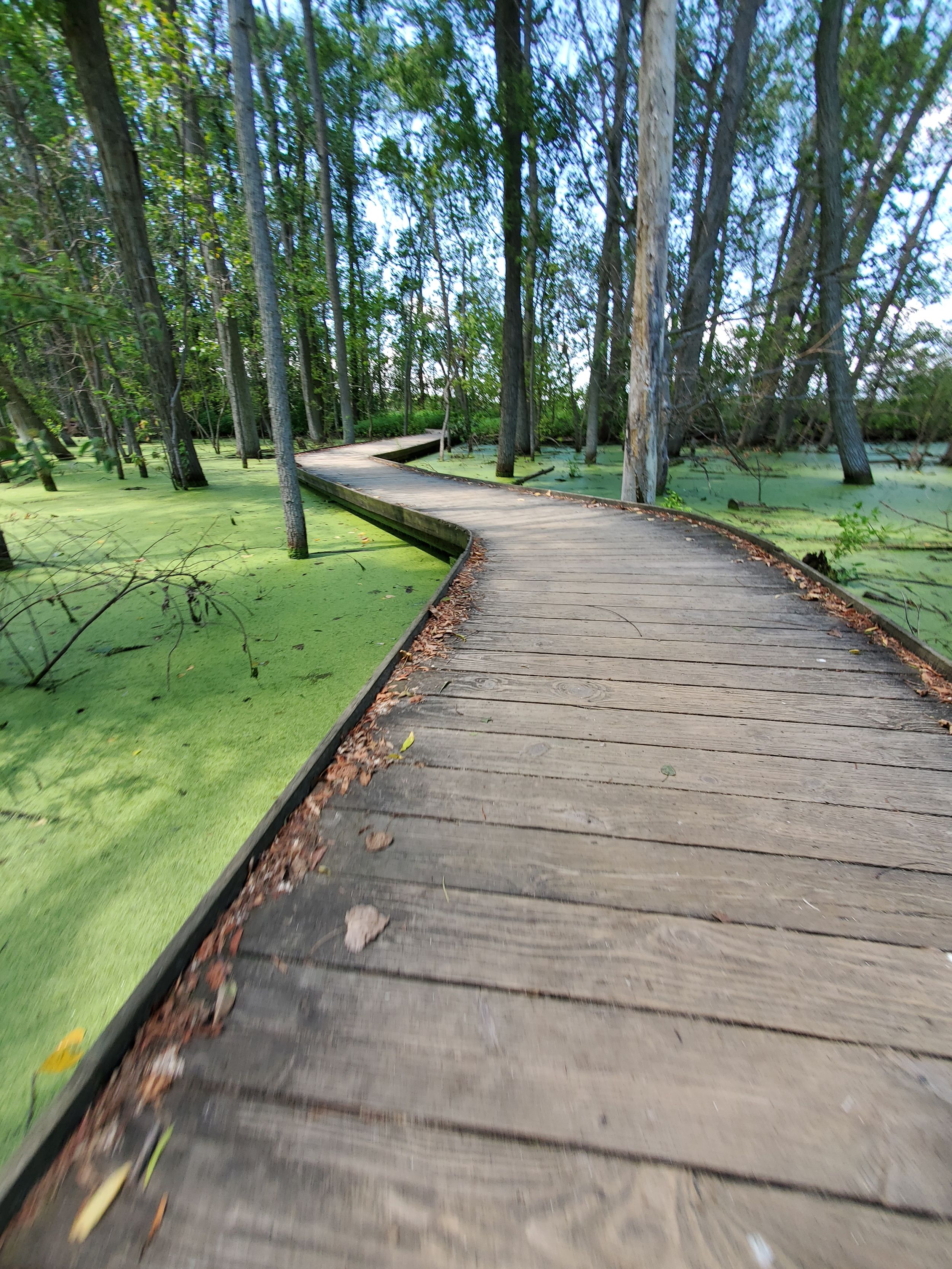 Top 10 Photography Locations in North Central Ohio - Travis Brooks ...
