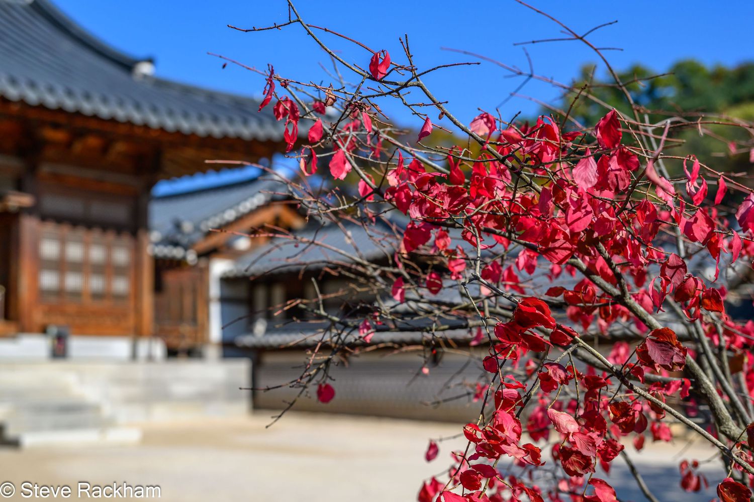 Exploring Places - Steve Rackham