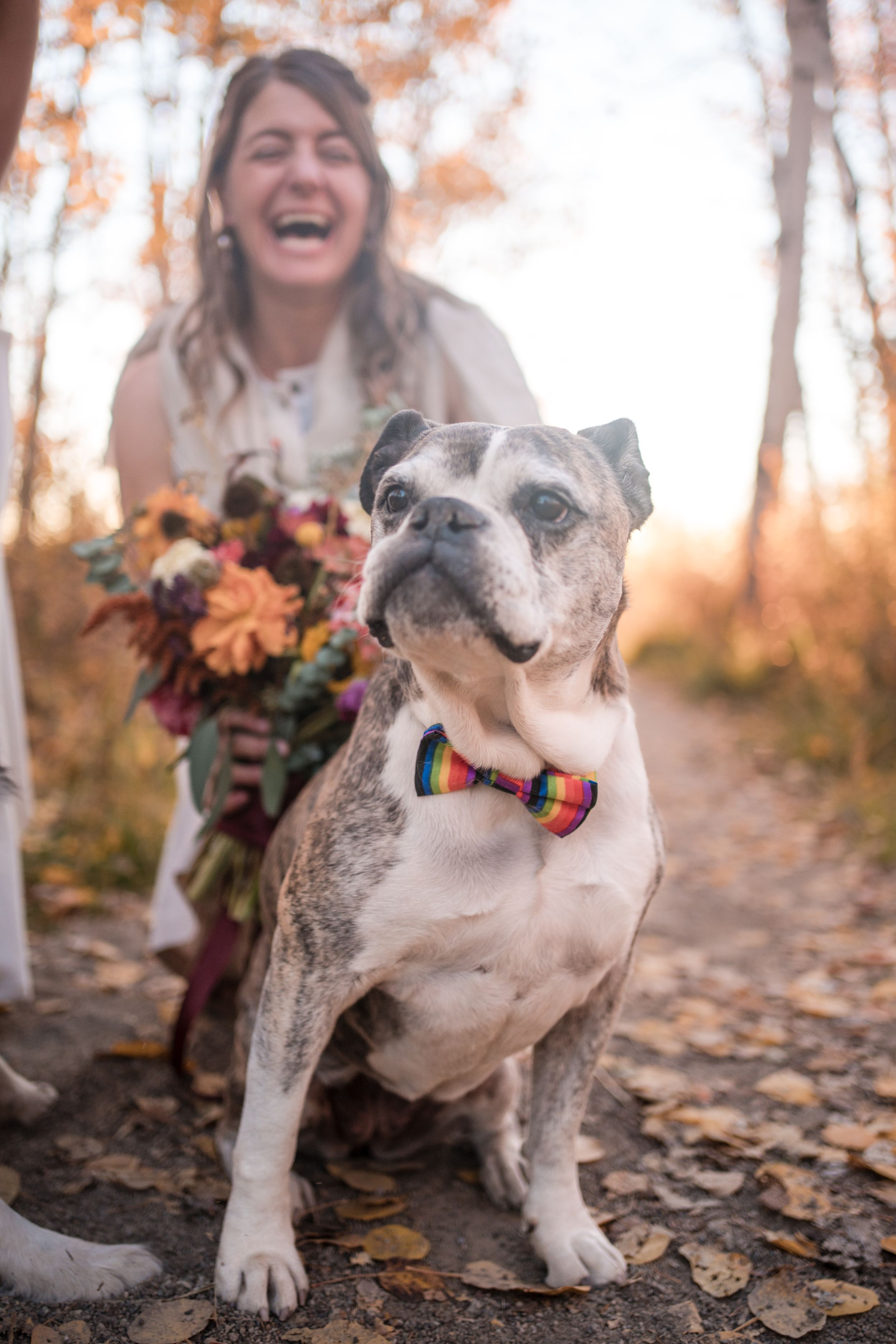Portfolio - EJ Photography Durango Colorado Weddings and Elopements